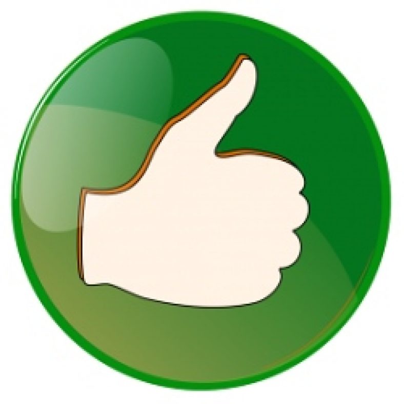 The Pros And Cons Of Using Multiple Domains Web Hosting Sun